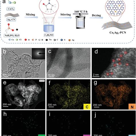 Shaobin Wang Professor Doctor Of Philosophy University Of Adelaide Adelaide School Of