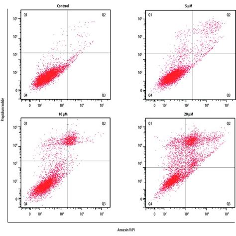 Flow Cytometry Of The Cell Cycle Of The Scc 1 Human Oral Squamous