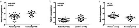 Relative Expression Of Mir 153 Mir 494 And Hif 1α In Temporal Cortex