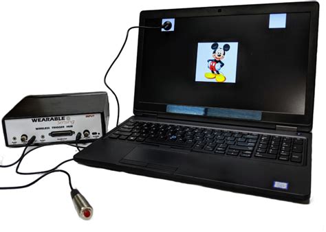 Dsi 24 Wearable Sensing Dry Eeg