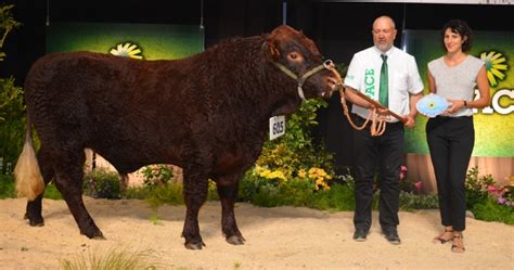Space 2014 Concours Salers Groupe Salers Evolution