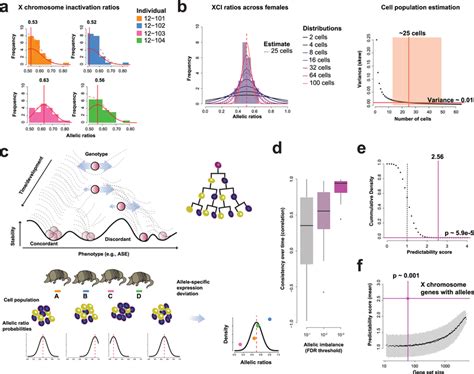 X Chromosome Inactivation As A Mark Of Individuality A Histograms Of