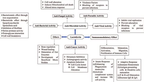 Bioactivity Of Lactoferrin Download Scientific Diagram