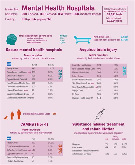 Mental Health Market Report 4th Edition Laingbuisson