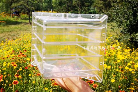 方形西瓜定型生长模具15x15方西瓜成型模具方形塑料模具厂家直销 阿里巴巴
