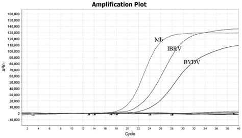 Primer Probe Combination And Kit For Detecting Bovine Respiratory
