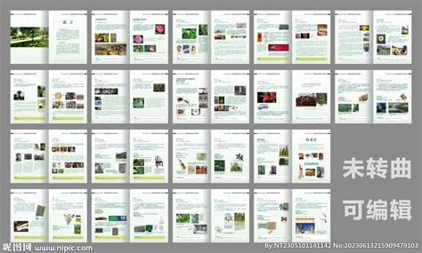 东莞动植物科普画面设计图 广告设计 广告设计 设计图库 昵图网