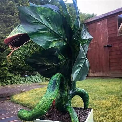 Halloween Man Eating Plant Halloween Decoration Unique And Creepy Decor