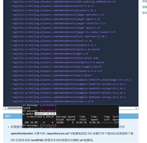 离线这里缺少kubecni Issue 2972 kubesphere website GitHub