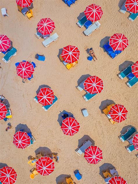 Parallel Paradise Ugly Momo