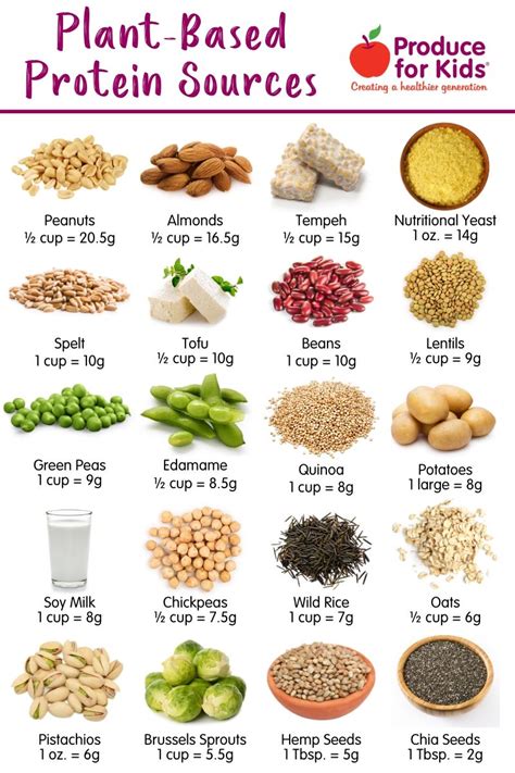 Looking For Plant Based Or Vegan Food Sources Of Protein Here Are 24 Plant Based Protein