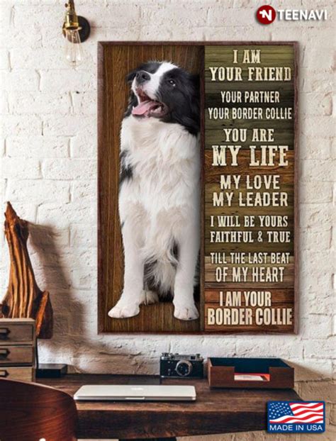 Vintage Border Collie I Am Your Friend Your Partner Your Border Collie