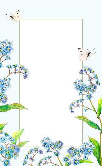 들판은 섬세한 꽃과 나비의 수채화 직사각형 프레임이 하늘색 배경에 손으로 그려져 있다 비문 축하 초대장 카드를위한 초원 야생화 디자인을 위한 꽃 그림 계절에 대한 스톡 벡터