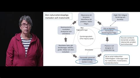 Den Naturvetenskapliga Metoden Och Matematik YouTube