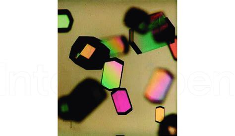 Protein Crystals Obtained With Esas Advanced Protein Crystallization