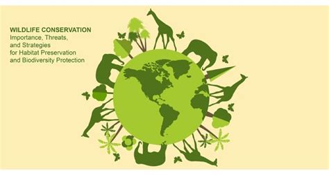 Wildlife Conservation Importance Threats And Strategies For Habitat