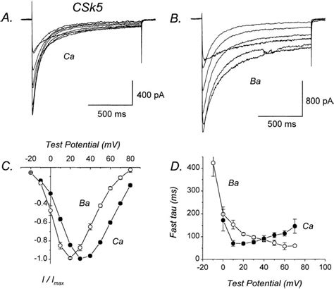 Ca Dependent Inactivation Is Restored In Csk5 A Representative Ca Download Scientific