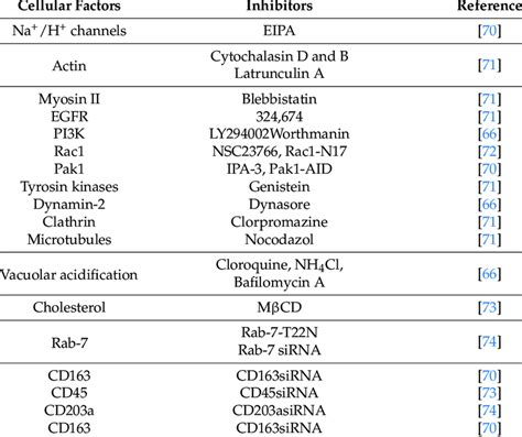 Cellular Factors Involved In Asfv Entry Download Scientific Diagram