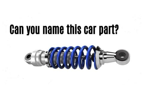 Can We Accurately Guess Your Gender Based On 8 Random Questions