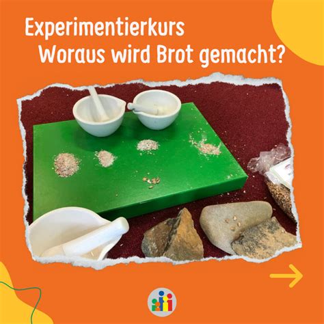 Experimentation Course Montessori Schule Wiesbaden