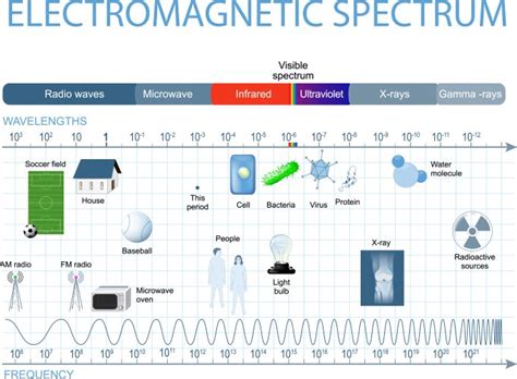 Visible Spectrum Color Electromagnetic Royalty Free Vector