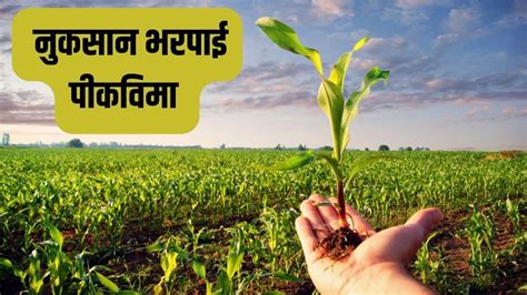 Crop Insurance केवढा हा द्राविडी प्राणायाम What A Dravidian