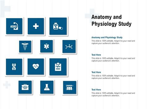 Anatomy And Physiology Study Ppt Powerpoint Presentation Gallery Show