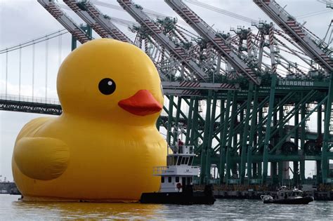 Giant Rubber Duck Makes A Splash In Port Of Los Angeles Rubber Duck