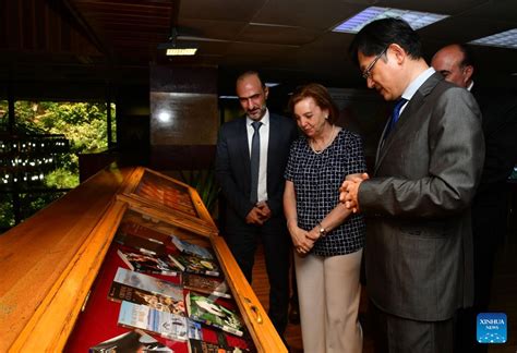 Chinese Embassy Donates Books To Syrias Library Xinhua