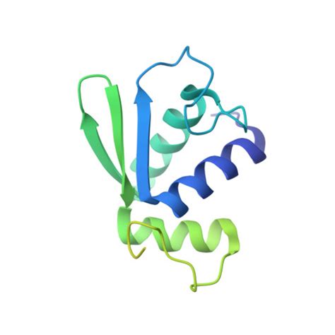 Rcsb Pdb 8g60 Mrna Decoding In Human Is Kinetically And Structurally