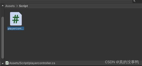 Unity2d横版游戏教程 2 代码实现unity2d Playercontrol脚本编写 Csdn博客