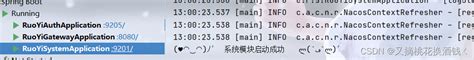 若依微服务突然报错 dynamic datasource can not find primary datasource csdn博客