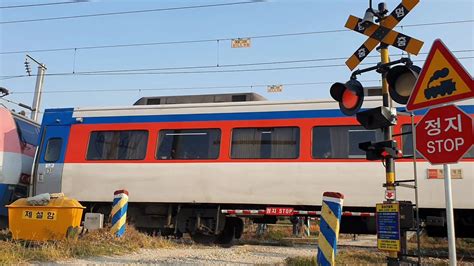 길었던 경고등소리 충북선 입상건널목 제천행 대전행 전기기관차 무궁화호열차 통과 철도건널목 신호등 Youtube