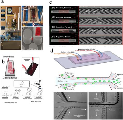 Microfluidic Devices With Positive Enrichment Technologies A Ctc Chip Download Scientific