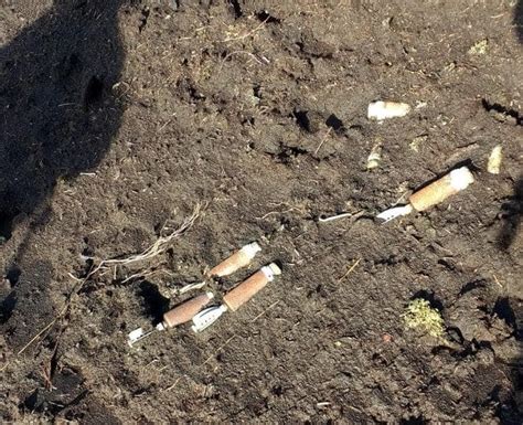 Controlled Explosion For Mortar Shells Found In Angus Glen Zetica Uxo
