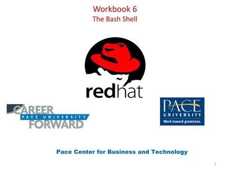 Ppt Workbook 6 The Bash Shell Powerpoint Presentation Free Download
