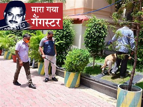 Vikas Dubey Arrested Kanpur Encounter News Know How History Sheeter