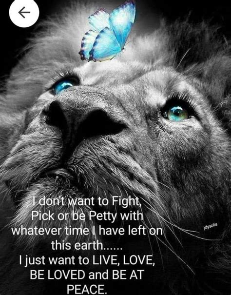 Bashir Hayek On Linkedin Lets Embrace These Words