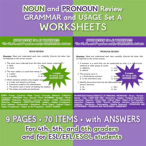 Noun And Pronoun Review Set A Worksheets Made By Teachers