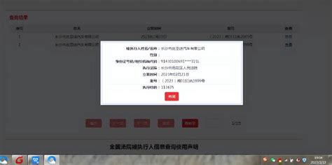长沙比亚迪成被执行人：执行标的合计116万余元雨花区显示信息