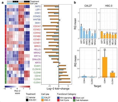 Differential Expression Profiles And Validation Of Key Genes Affected