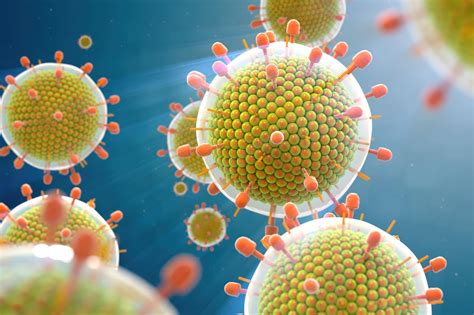 Parainfluenza Virus An Overview Sciencedirect Topics 48 Off