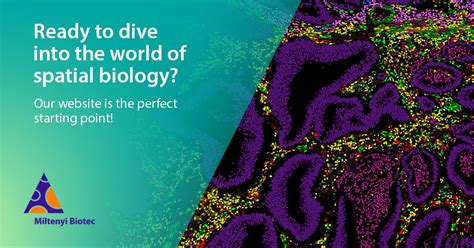 Miltenyi Biotec On Linkedin Spatial Biology Bridging The Gap Between