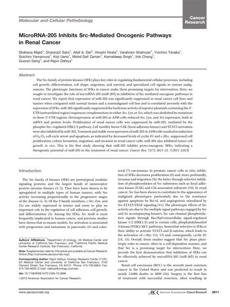 Pdf Microrna 205 Inhibits Src Mediated Oncogenic Pathways In Renal Cancer