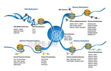 Ms023 Type I Prmts Inhibitor抑制劑 Cas 1831110 54 3apexbio貨號 B6183