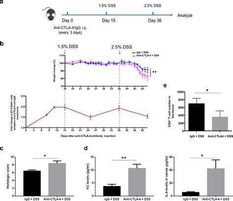 Anti CTLA 4 Antibody And DSS Induced Inflammation Drive Gut Homing T
