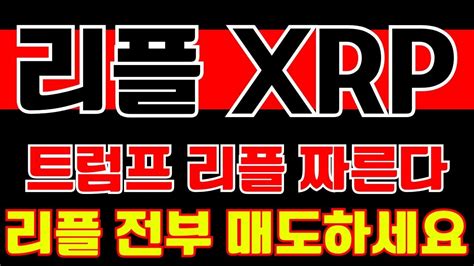 리플 해리스에게 기부한 리플이 결국리플 리플코인 리플전망 리플코드제로 Youtube