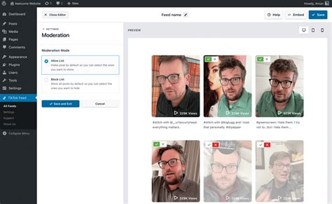 Tiktok Feeds Demo Setup