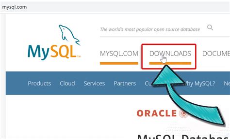 Download And Install MySQL DATA With BARAA
