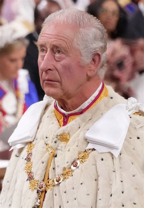 Why King Charles Iii Looked So Sad At The Coronation Purewow